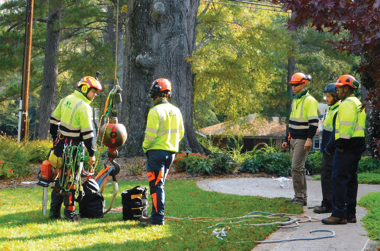 Crew Leaders Are More Than Soldiers – They Are Officers - Tree Care ...