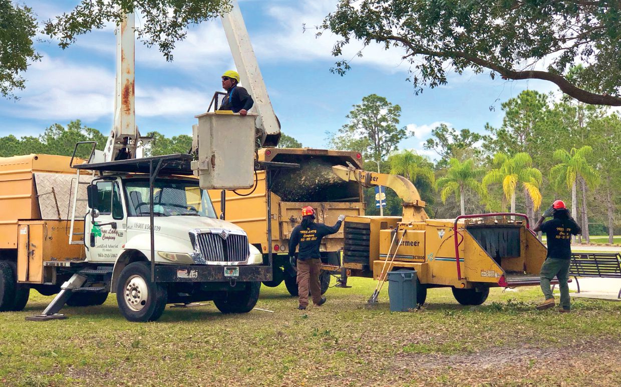 Tree Lady Says Vocational Education Will Bring More Women into Tree ...