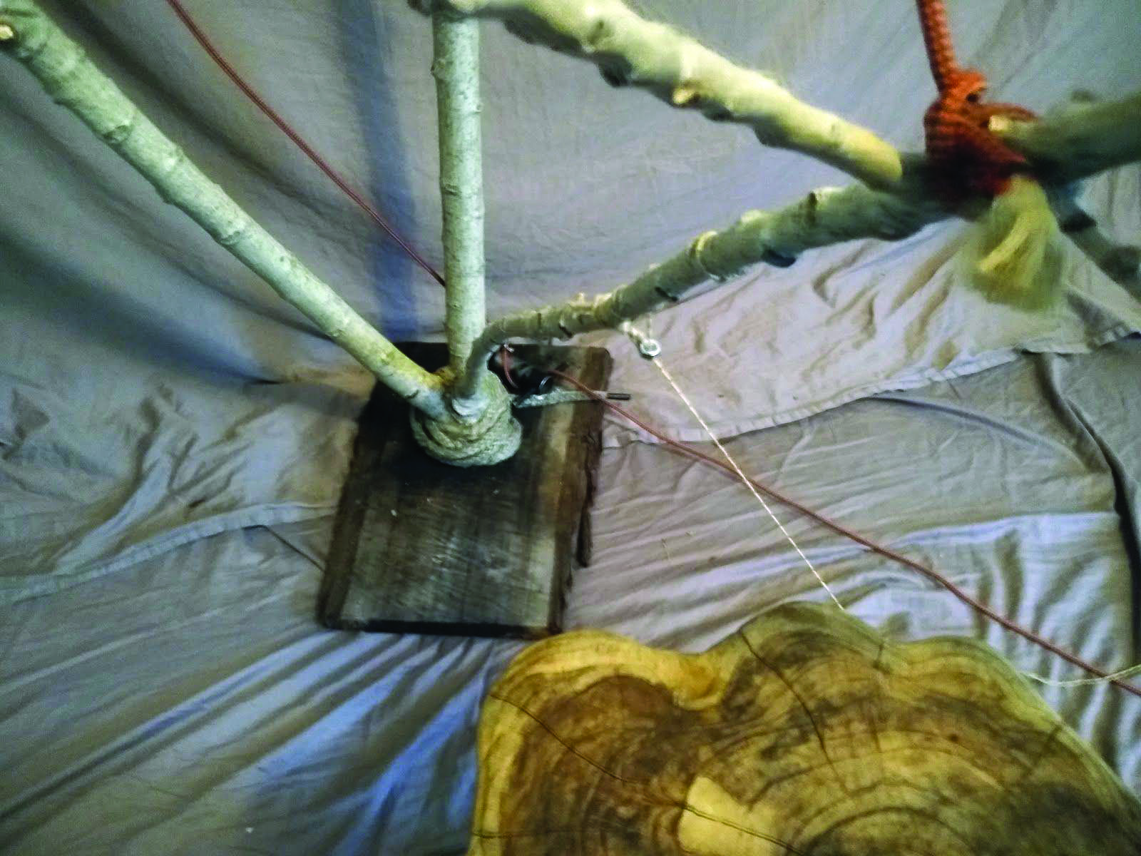 Urban Rigging: Working in Tight Spaces - Tree Care Industry Magazine