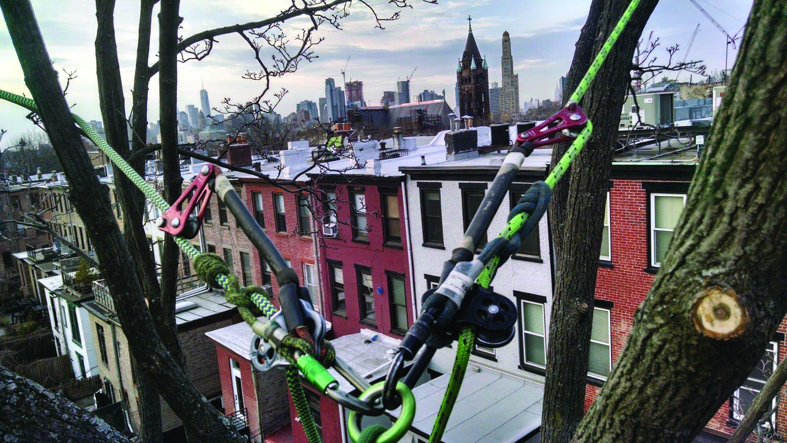 Urban Rigging: Working in Tight Spaces - Tree Care Industry Magazine