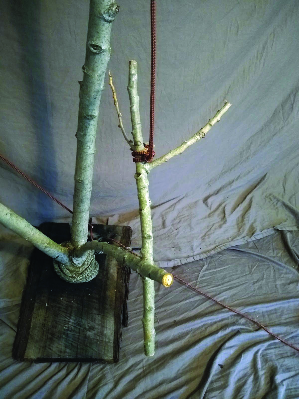 Urban Rigging: Working in Tight Spaces - Tree Care Industry Magazine