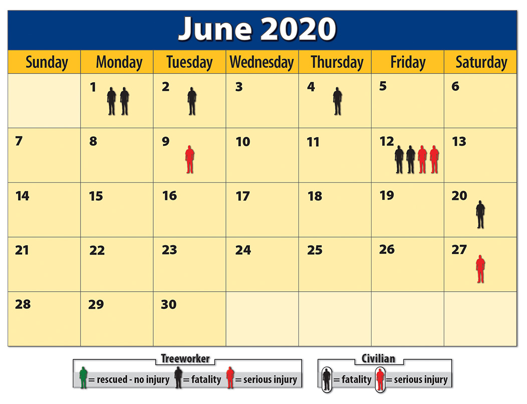 Accident Briefs - June 2020 - Tree Care Industry Magazine