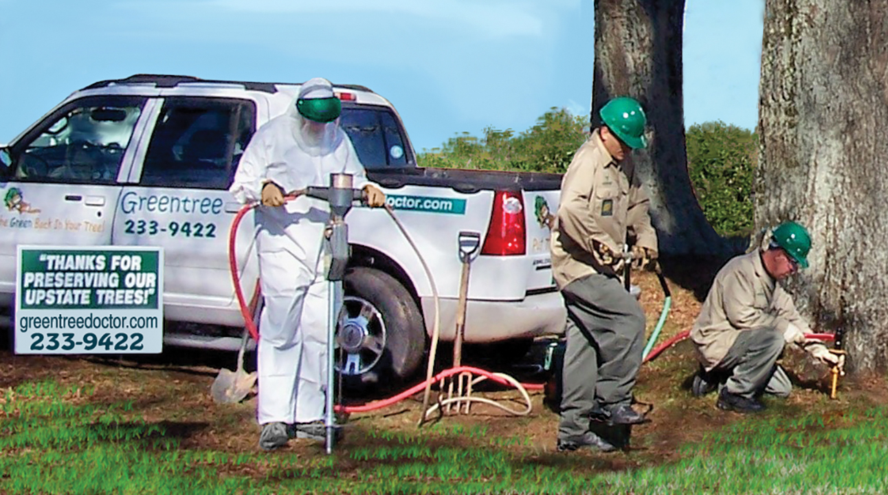 Musings on Tree Work and Plant Health Care After 40 Years in the ...