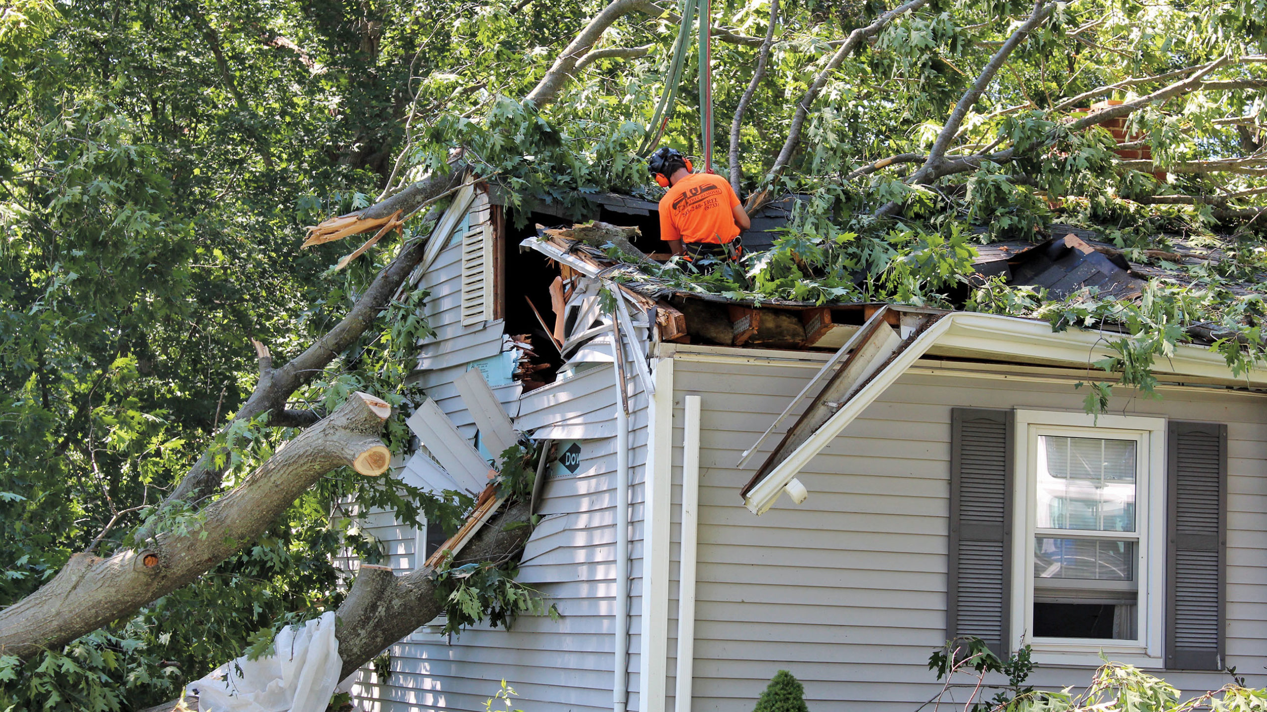 Storm Work and Serving the Community Are Two-Pronged Focus of K&J Tree ...