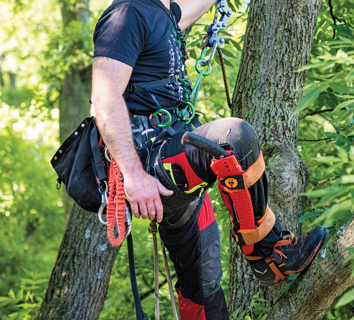 Lace ’Em Up! The Ins and Outs of Arborist Footwear - Tree Care Industry ...
