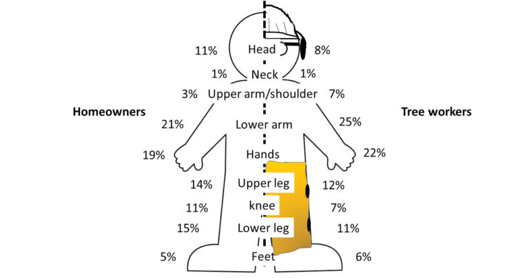 Chain-Saw Injuries: Us Versus Them - Tree Care Industry Magazine