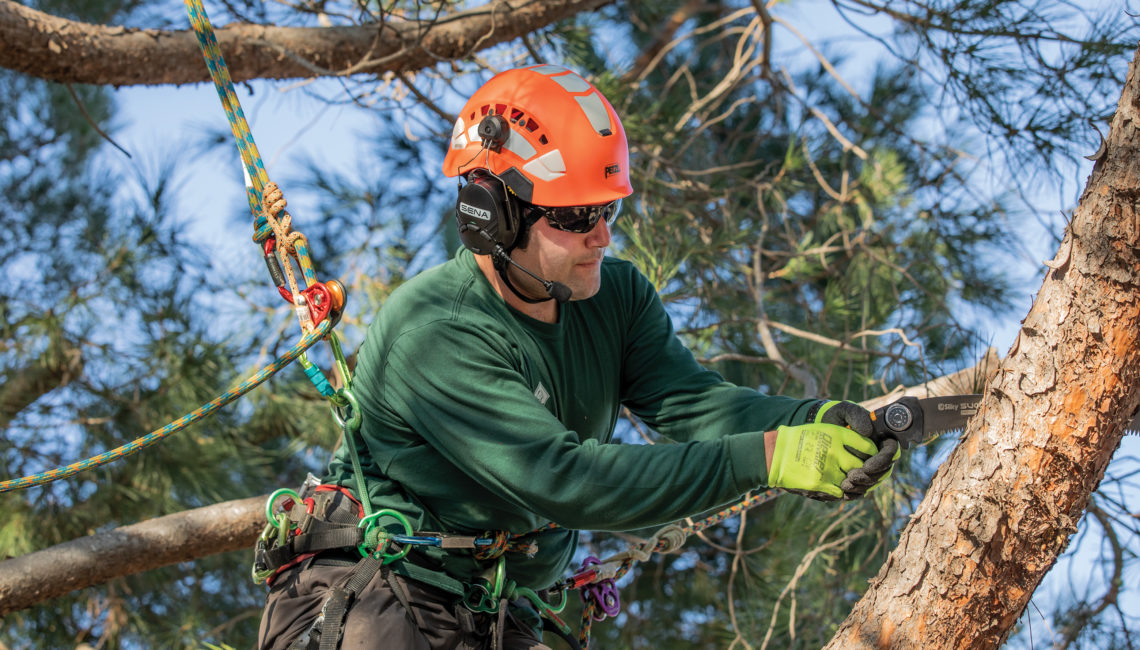 Arborist Skills: How to Apply an SRS Redirect without Unloading Your ...
