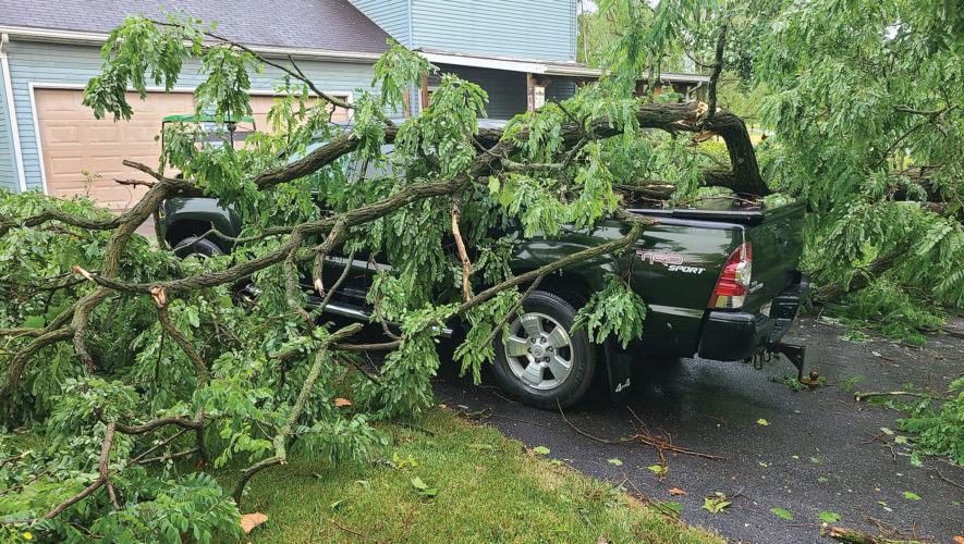 Arborist Skills - Climber Work Positioning - Tree Care Industry Magazine Arborist Skills - Climber Work Positioning - Tree Care Industry Magazine