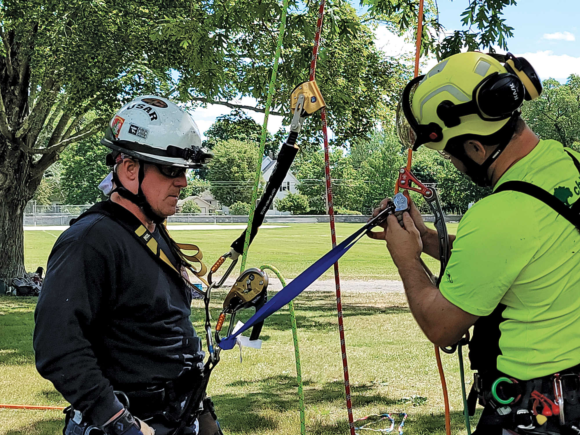 Progressive Aerial Rescue: Is It an Afterthought? - Tree Care Industry ...