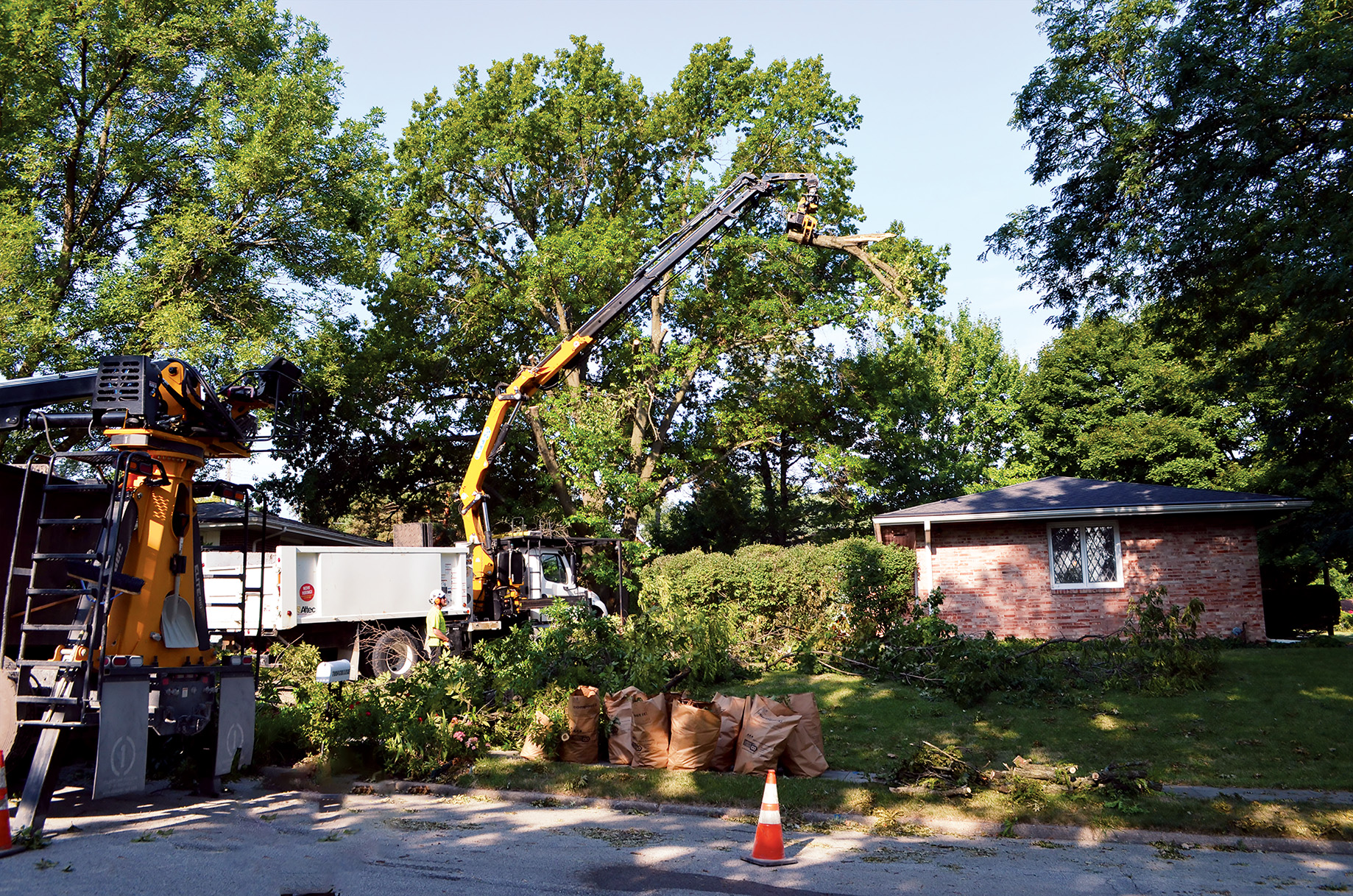 When Disaster Strikes, Storm Cleanup Crews Need to Be Ready - Tree Care ...