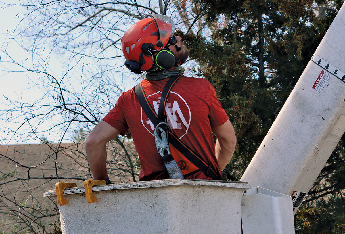 Aerial Lift - Transferring from Bucket to Tree - Tree Care Industry ...