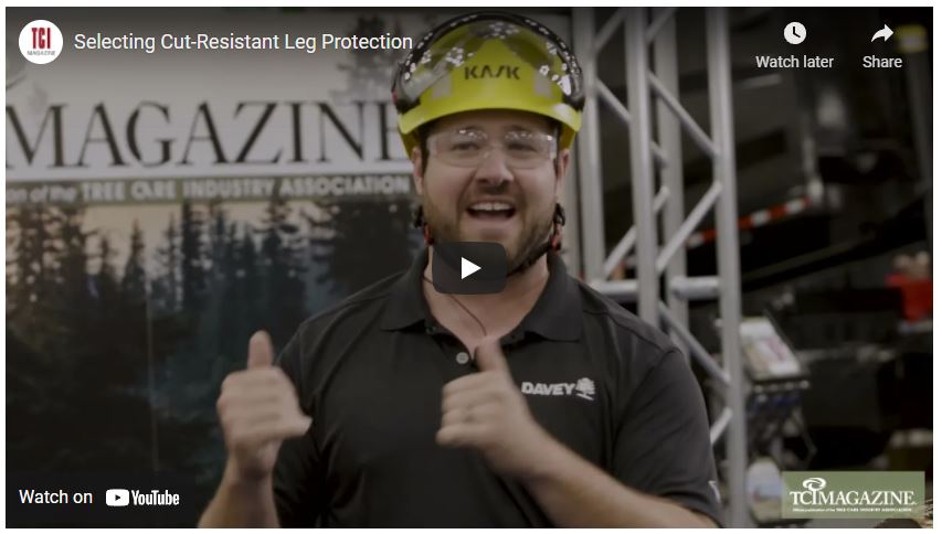 Video - Selecting Cut-Resistant Leg Protection - Tree Care Industry ...