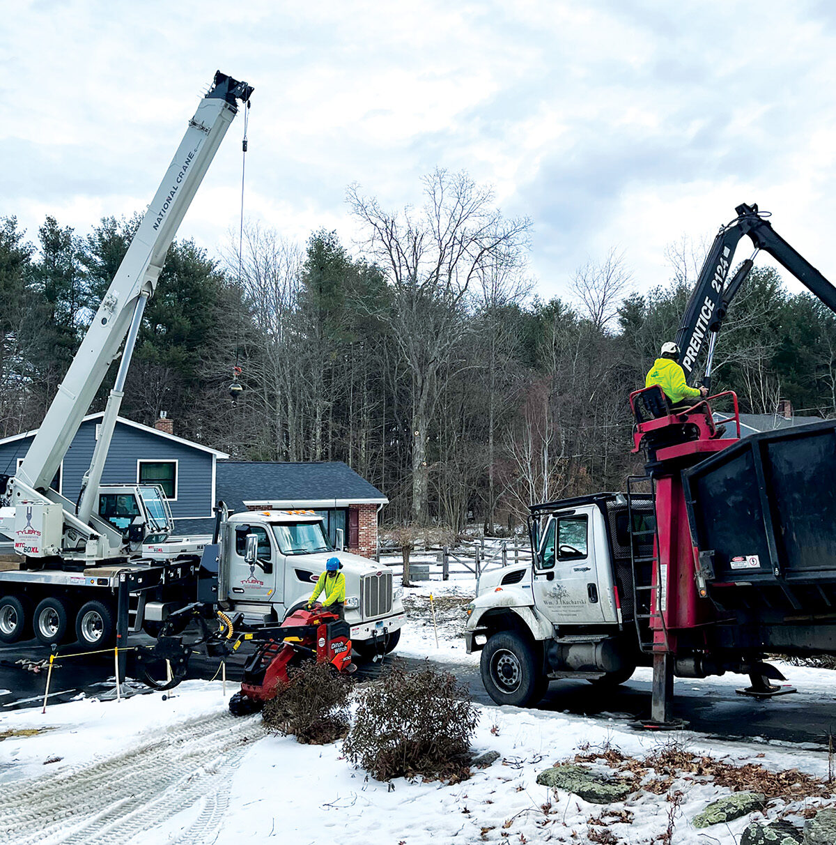Double the Fun at Wm. J. Kucharski Tree Care Paves the Way to ...