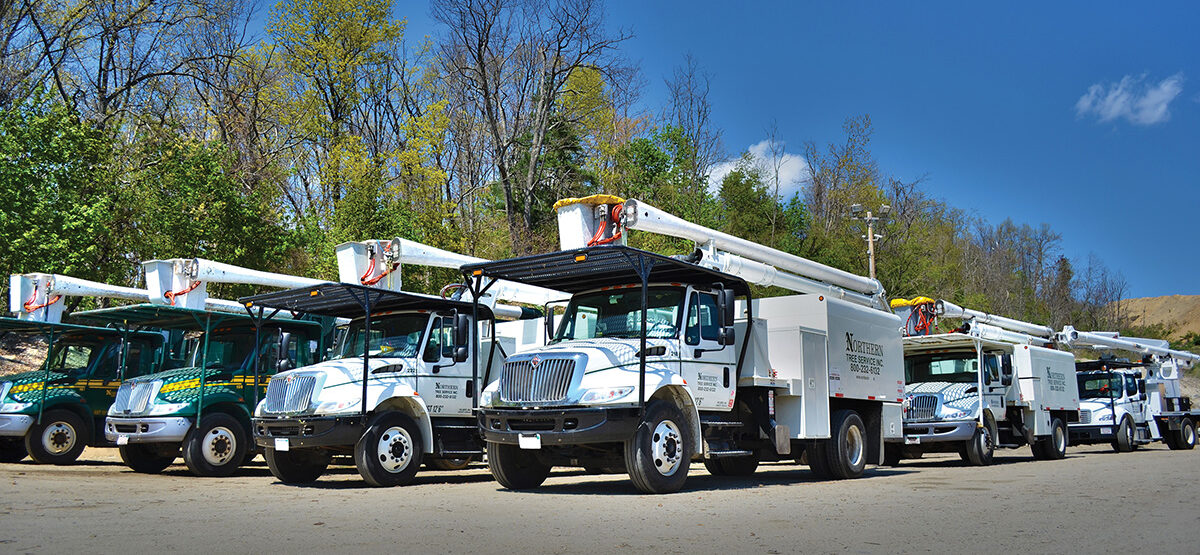 Future Fuels in Arboriculture - Tree Care Industry Magazine