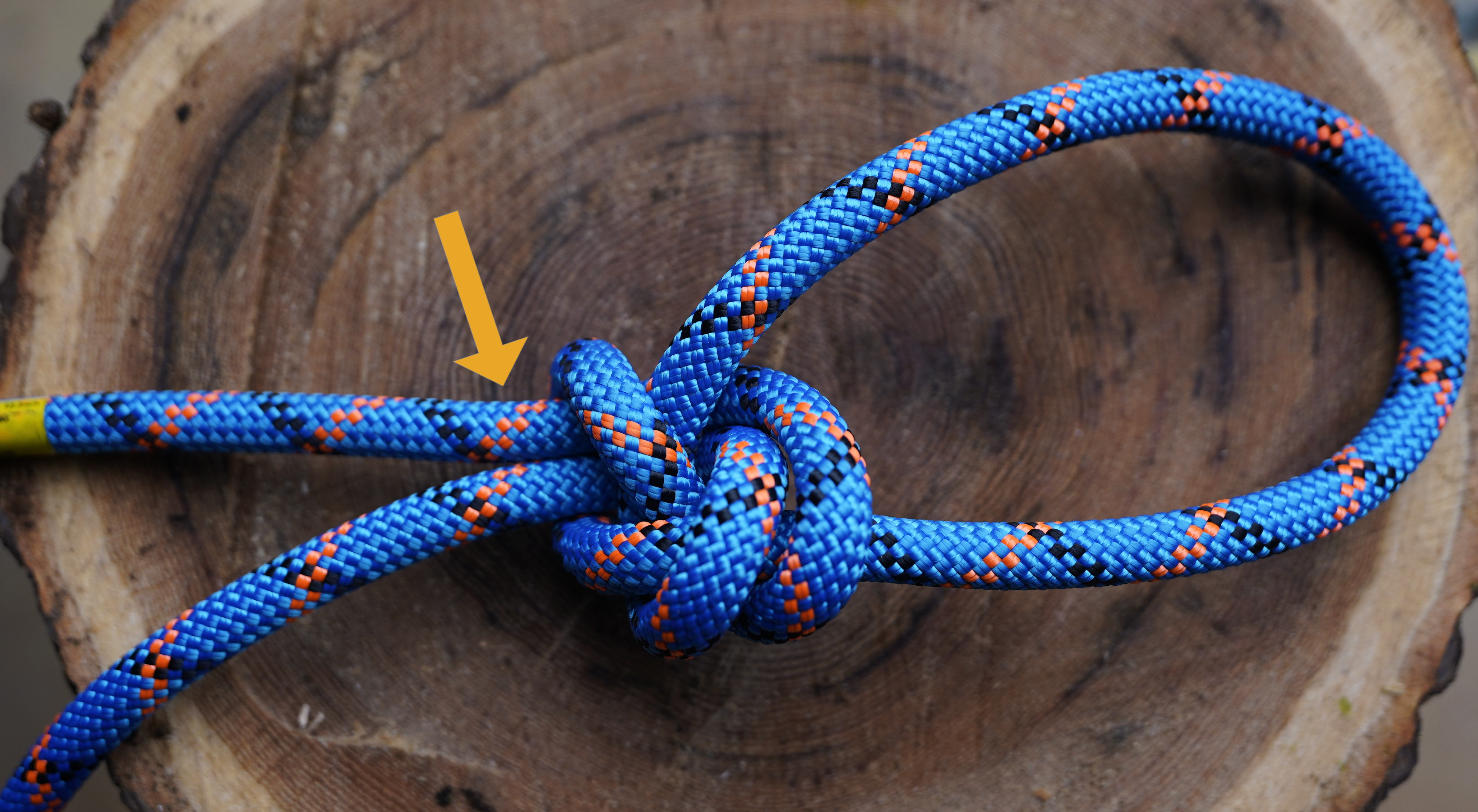 Knotting Really Matters - Tree Care Industry Magazine