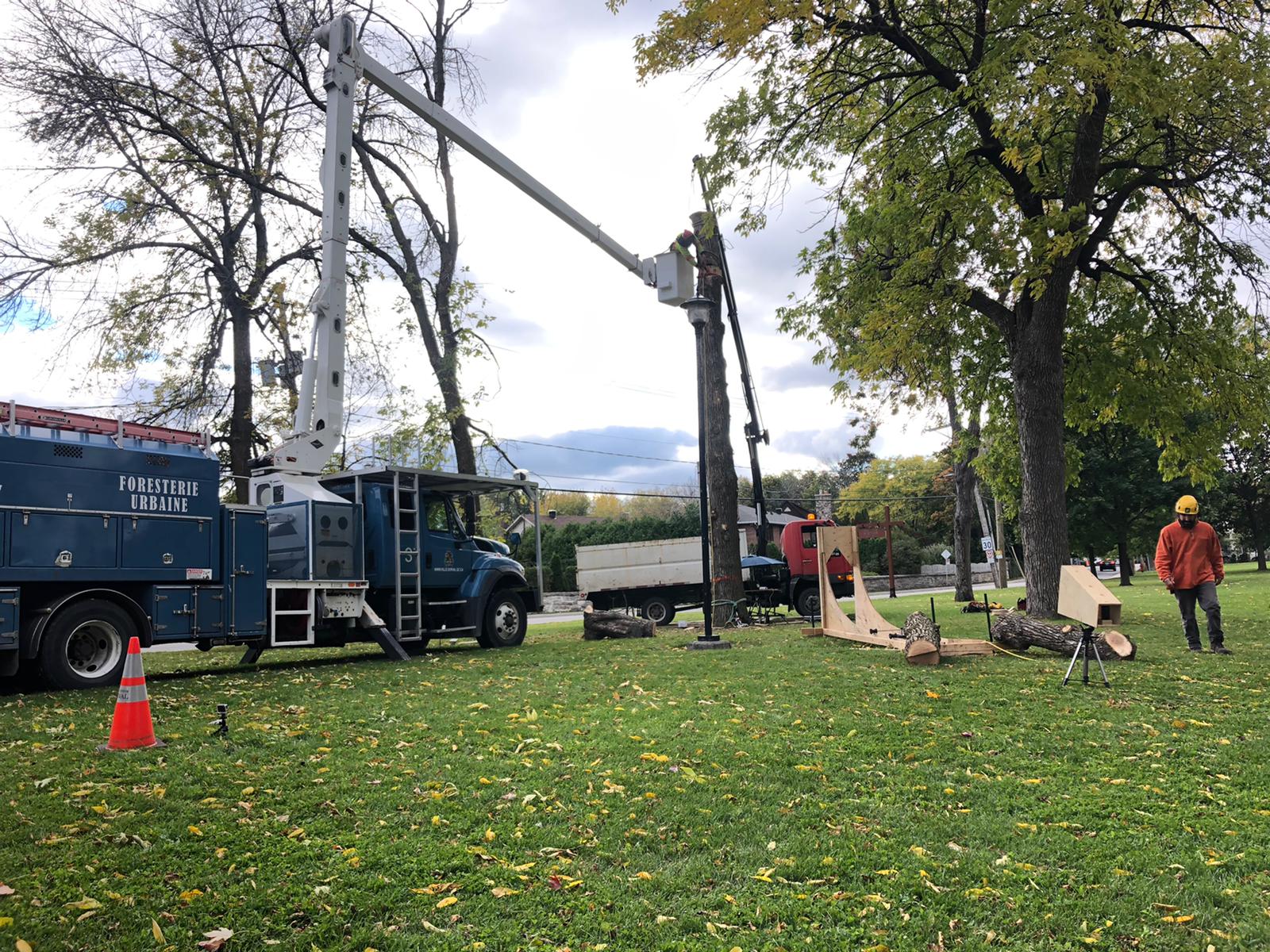 Testing Equipment and Techniques to Reduce Loads on the Stem - Tree ...