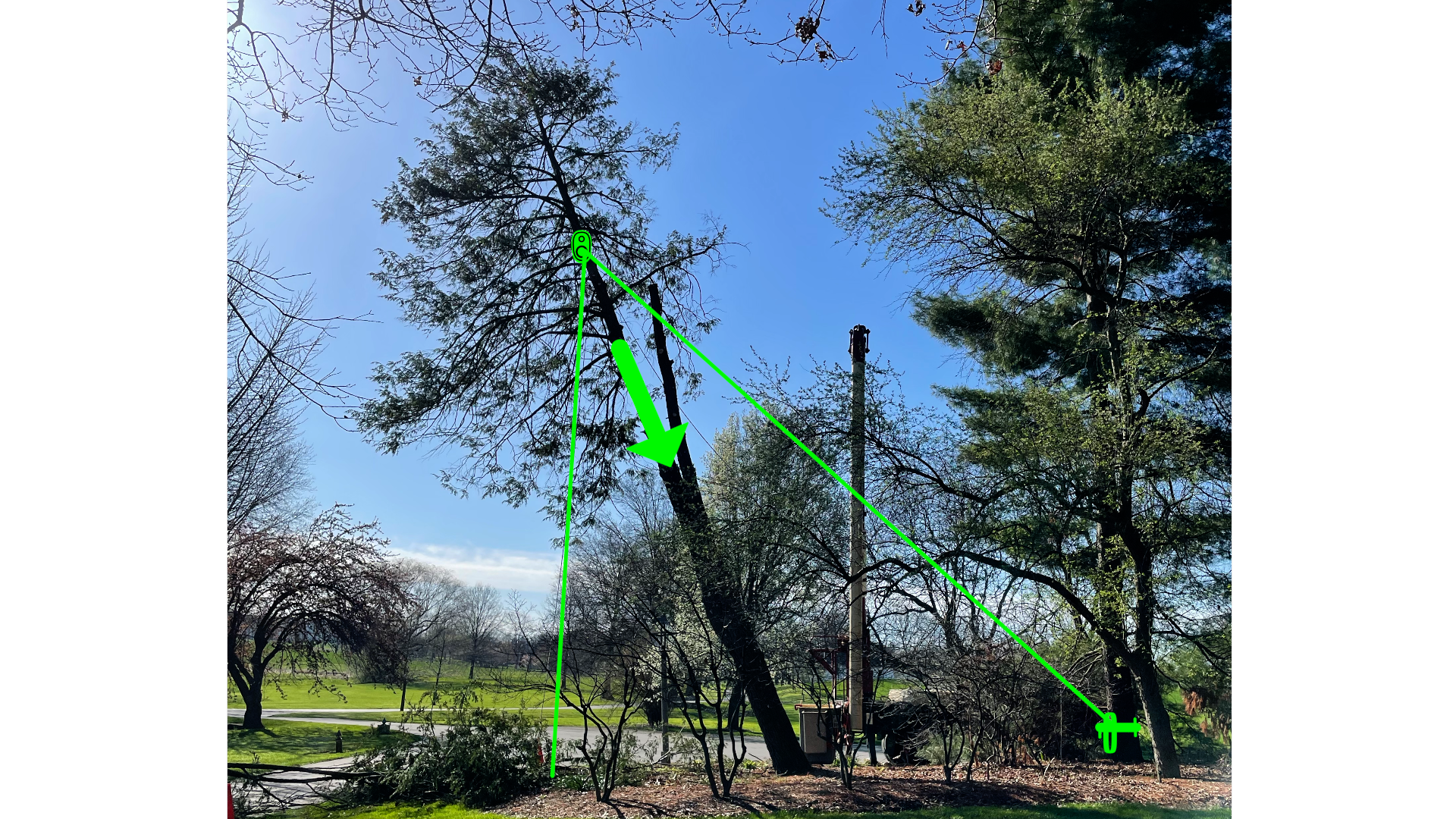 Seven Great Reasons to Relocate Your Lowering Device - Tree Care ...