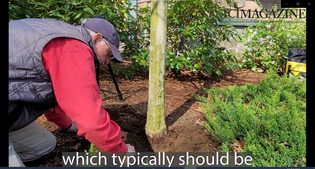 Stanley Tree Root Excavation - Tree Care Industry Magazine