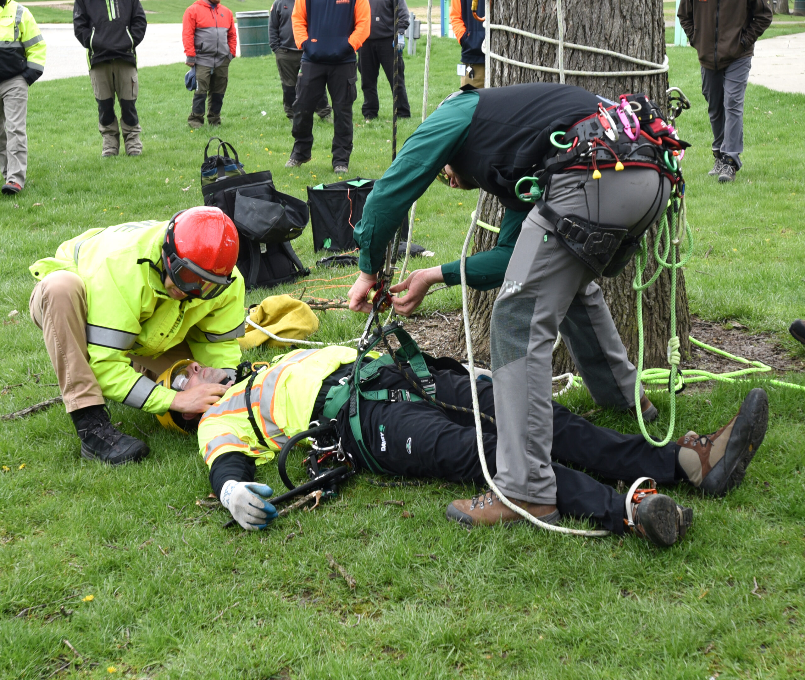Patient Assessment for Tree Crews - Tree Care Industry Magazine