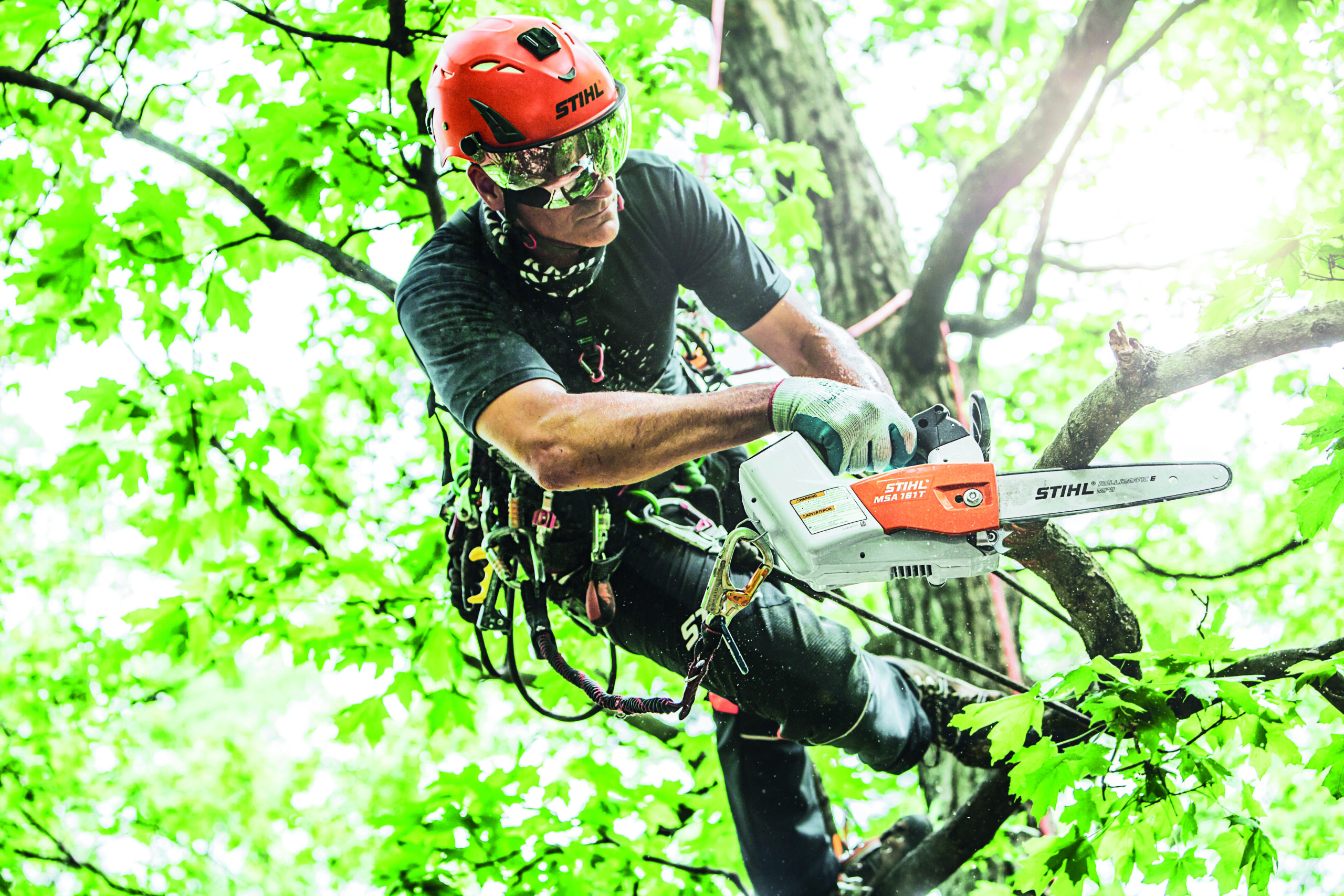 Longevity as an Arborist - Tree Care Industry Magazine