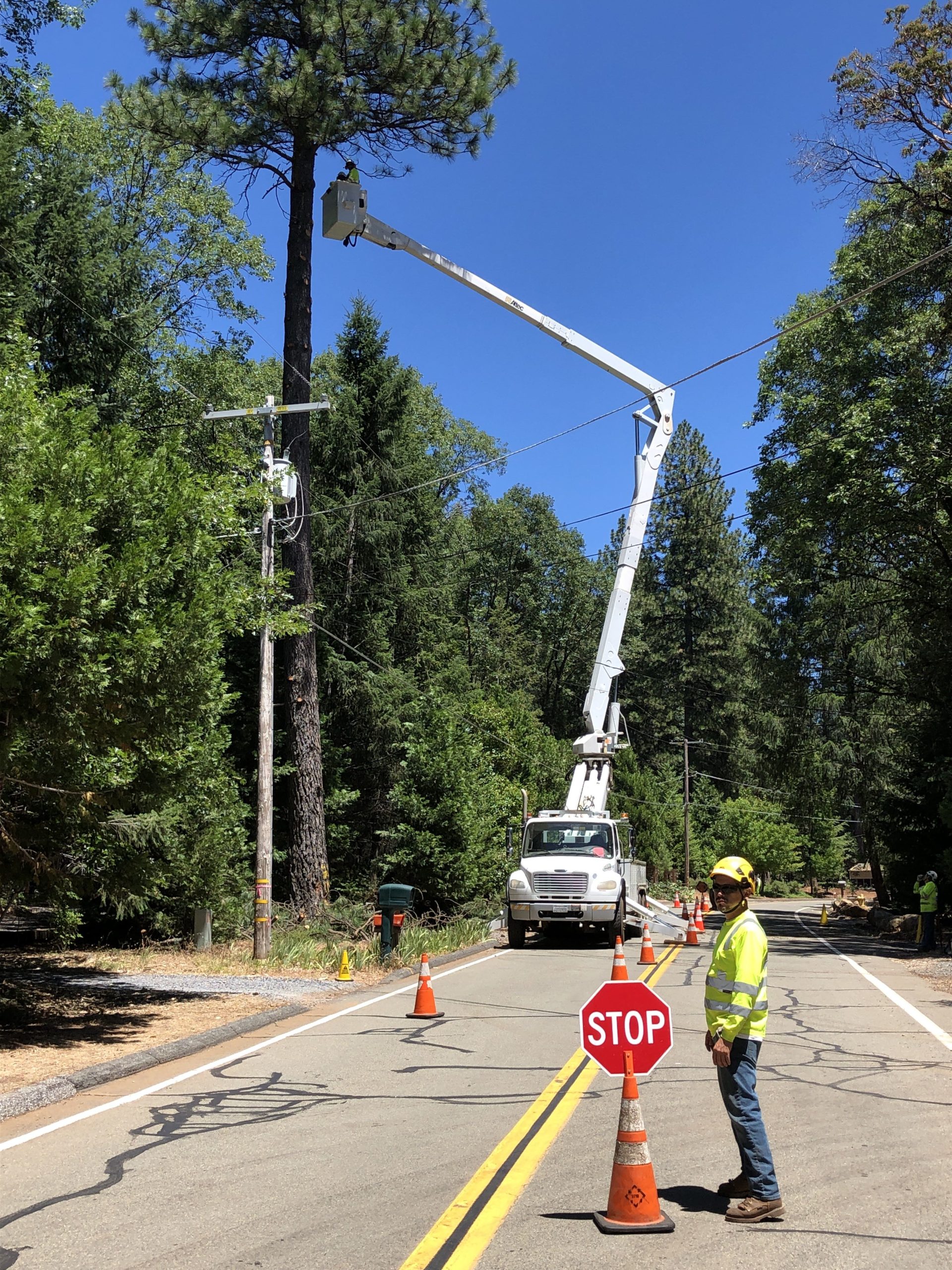 ANSI Z133 Update: Electrical Hazards Proposed Guidance for Arborist