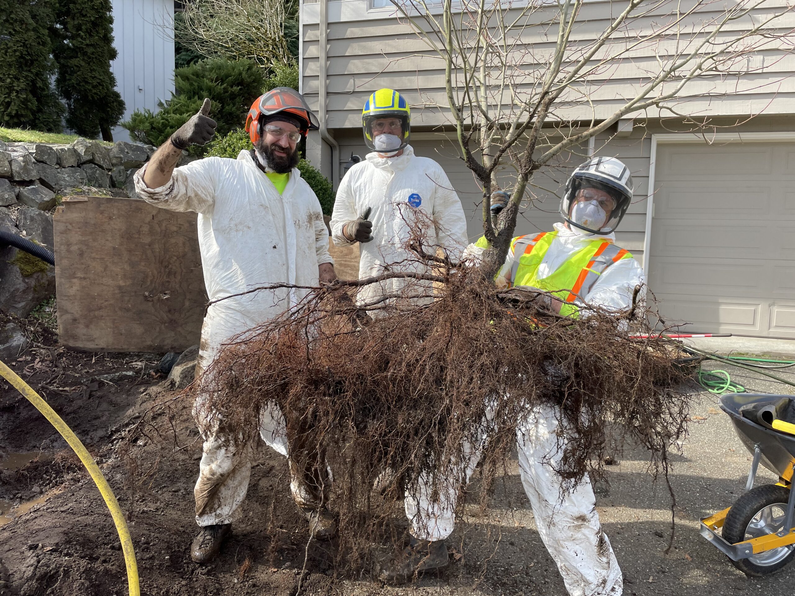 Rethinking Leadership - Tree Care Industry Magazine