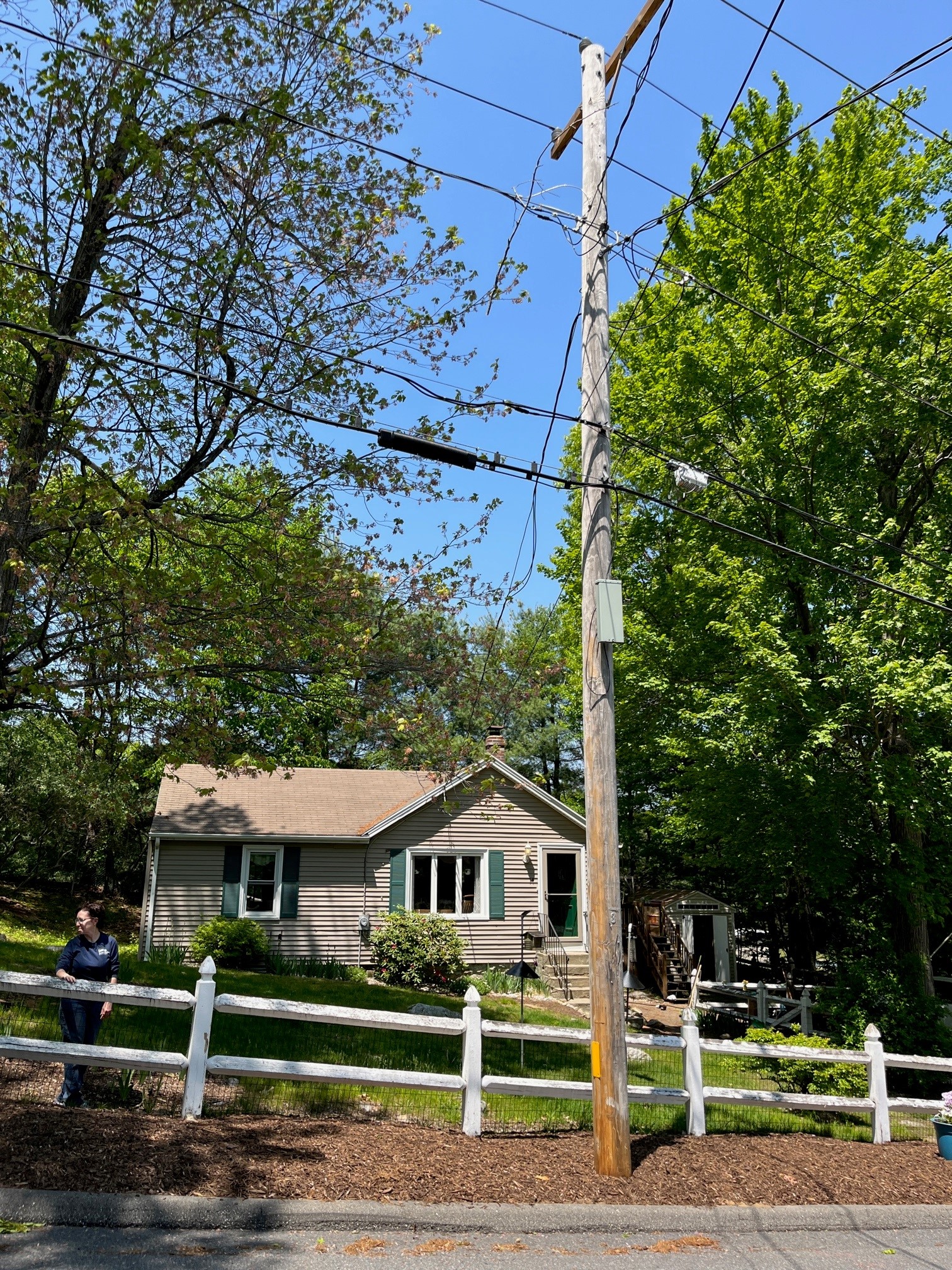 Tree-Related Electrical Incidents: Us vs. Them