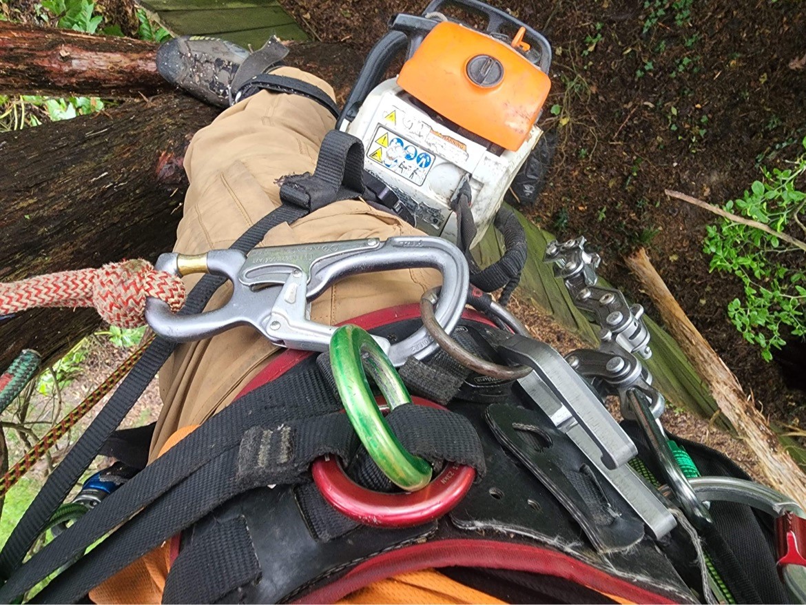Group Think vs. Safety Culture - Tree Care Industry Magazine