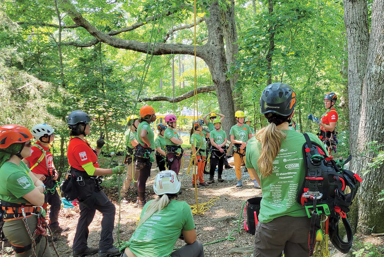 Breaking Through the Tree Canopy with Nicole Benjamin