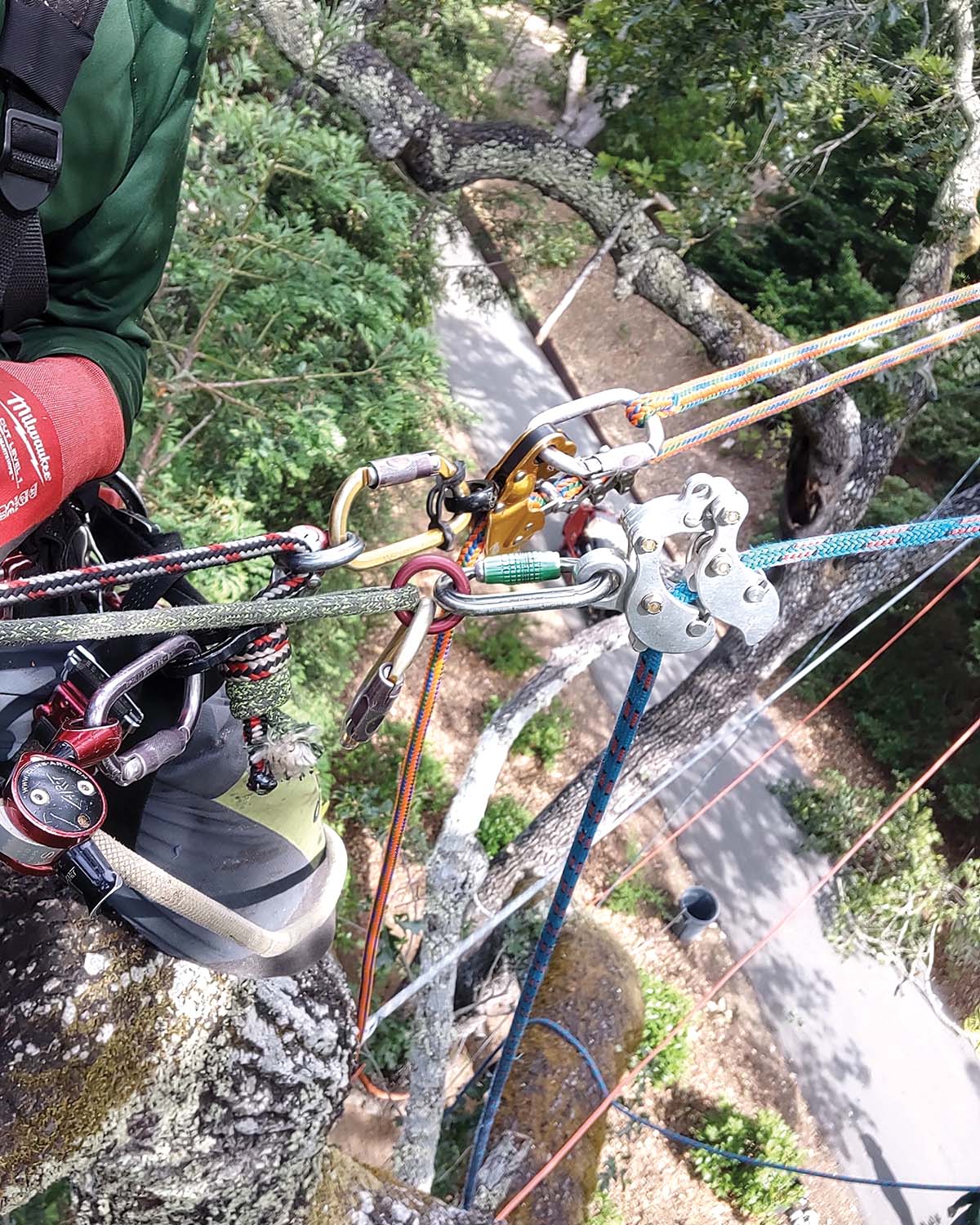 Climbing Efficiency - Tree Care Industry Magazine