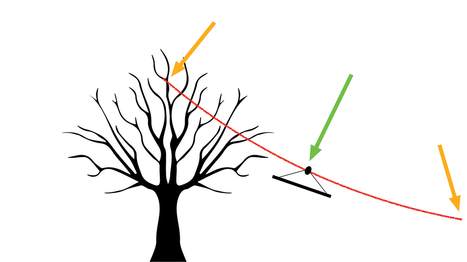 Vectors: One System for Putting Less Stress on the Tree and Climber