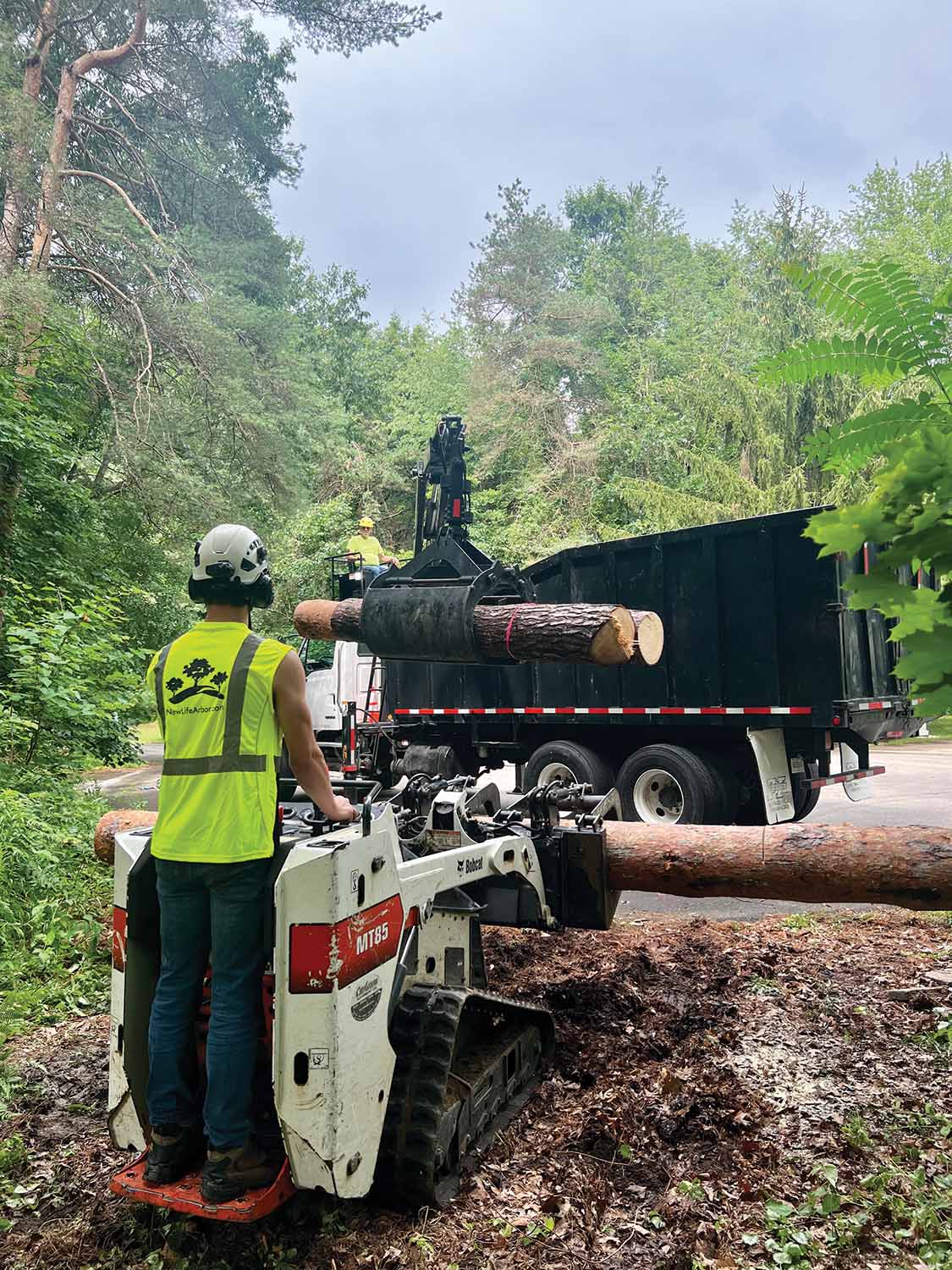 Accreditation Guides Growth for New Life Arboricultural Services - Tree ...