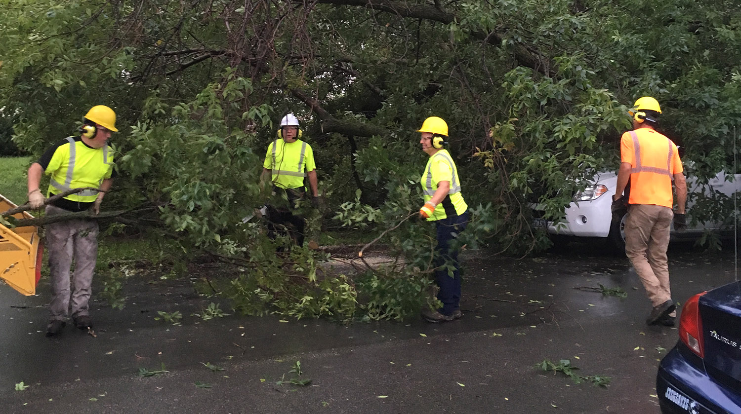 Storm-Damage Cleanup – A Greater Hazard