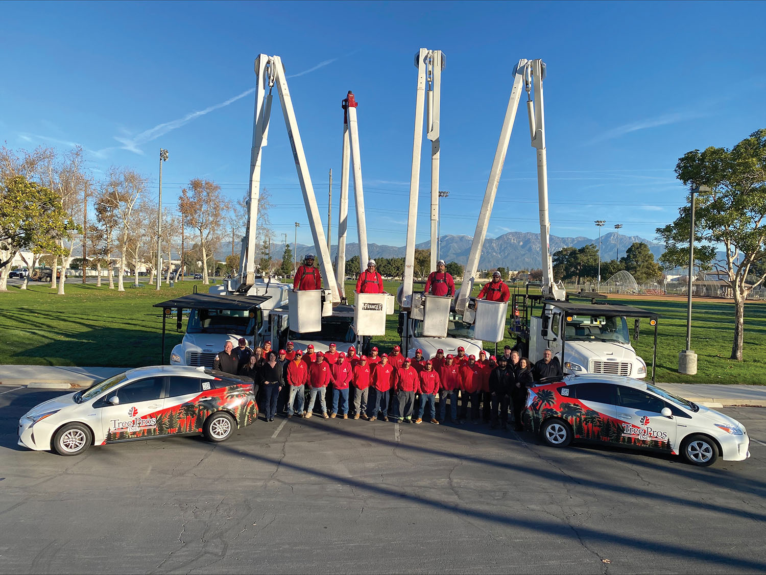 Strength in Numbers: TCIA’s 401(k) Program Benefits Tree Care Companies ...