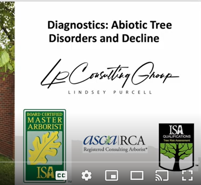 Diagnostics: Abiotic Tree Disorders and Decline - Tree Care Industry ...