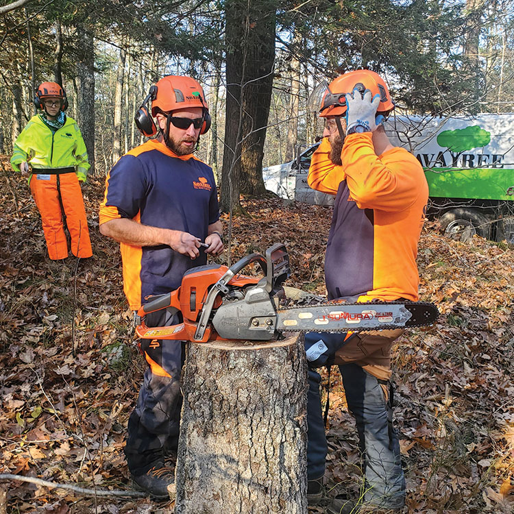 Tree Care Industry Magazine