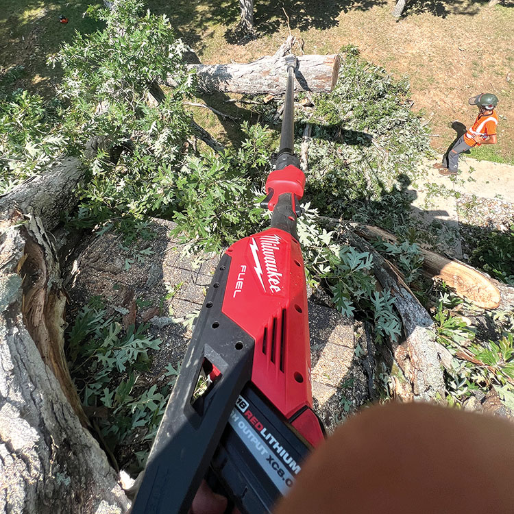 Milwaukee's M18 Fuel Telescoping Pole Saw - Tree Care Industry Magazine