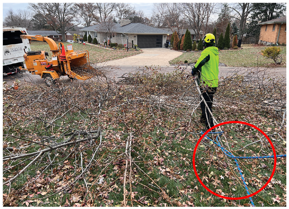 Would You Recognize Drug Addiction on Your Tree Crew?