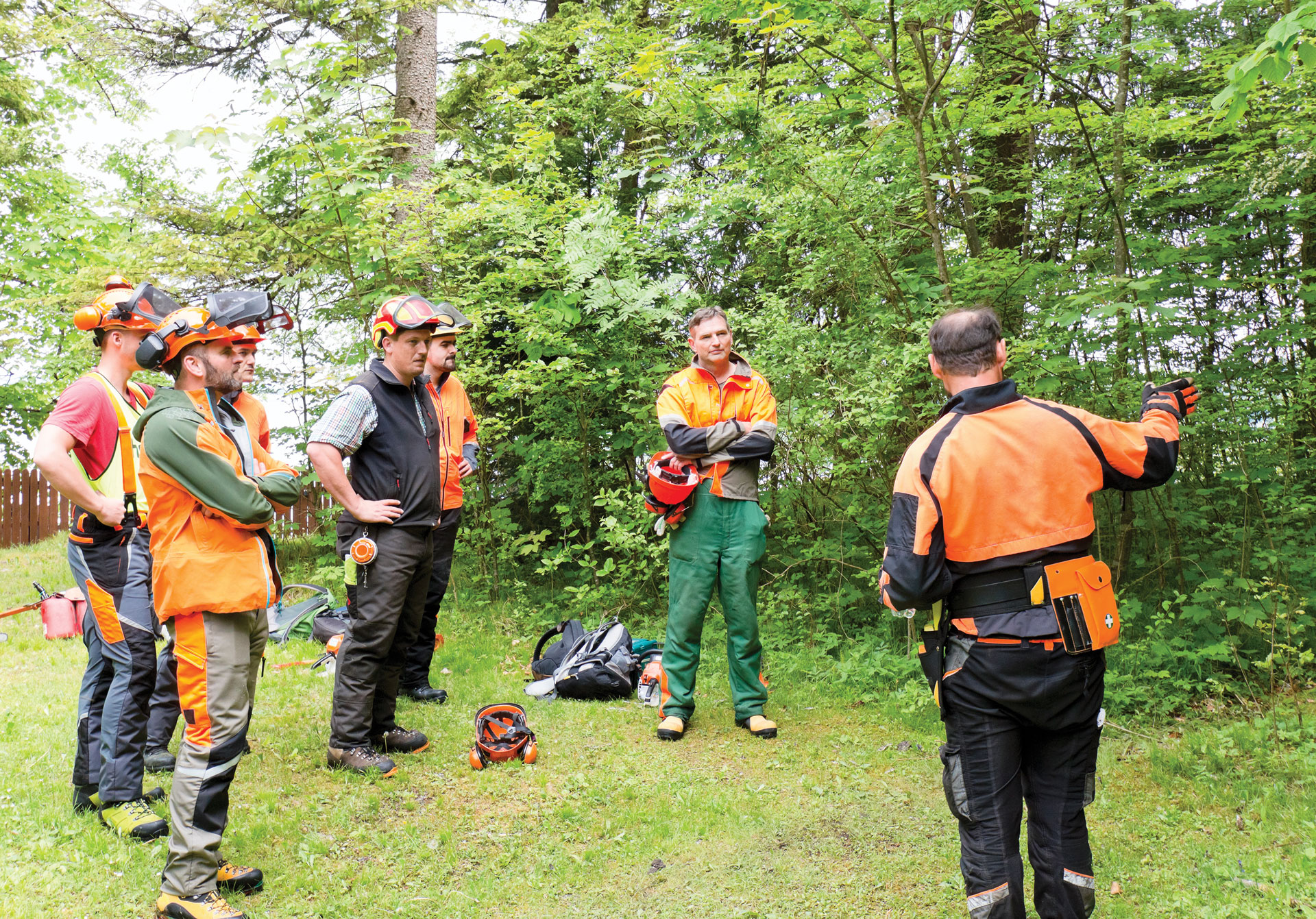 Tree Care PPE Training: Know the Rules